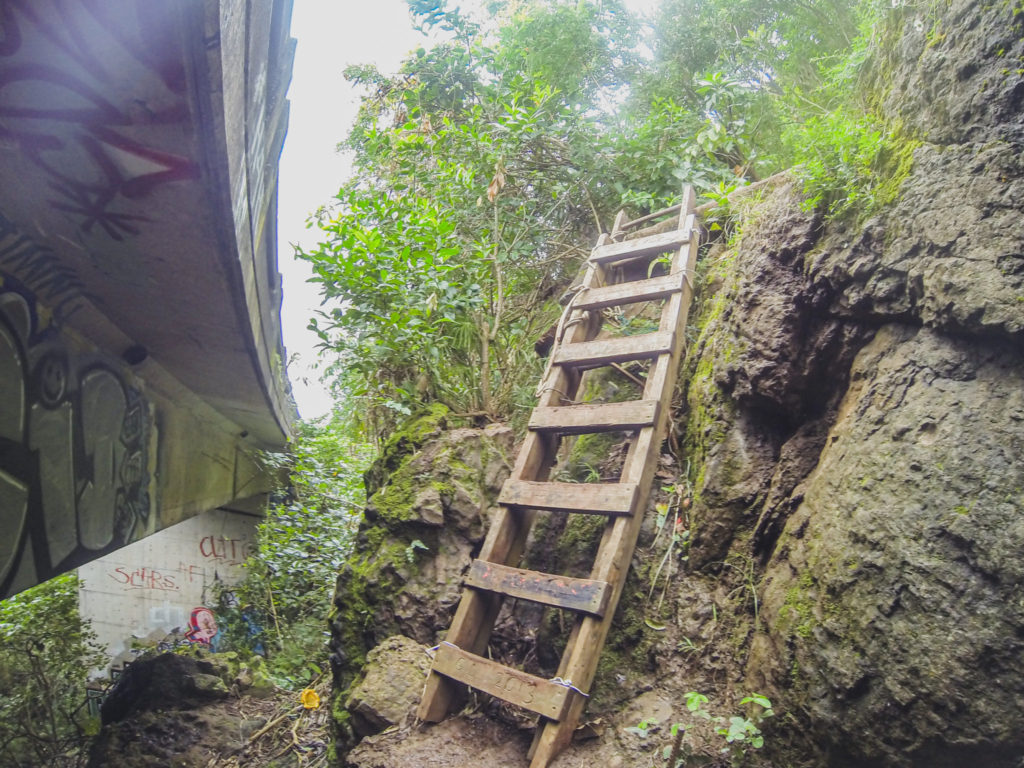 Likeke Falls Hike - How To Hike This Waterfall Trail On Oahu