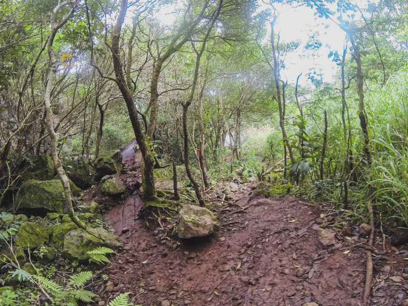 Likeke Falls Hike - How To Hike This Waterfall Trail On Oahu