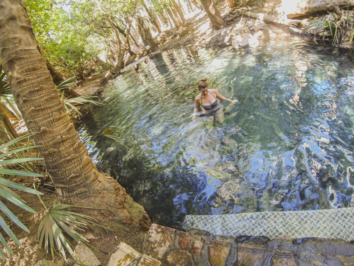 A Day Trip To The Mataranka Thermal Pool From Darwin, Australia