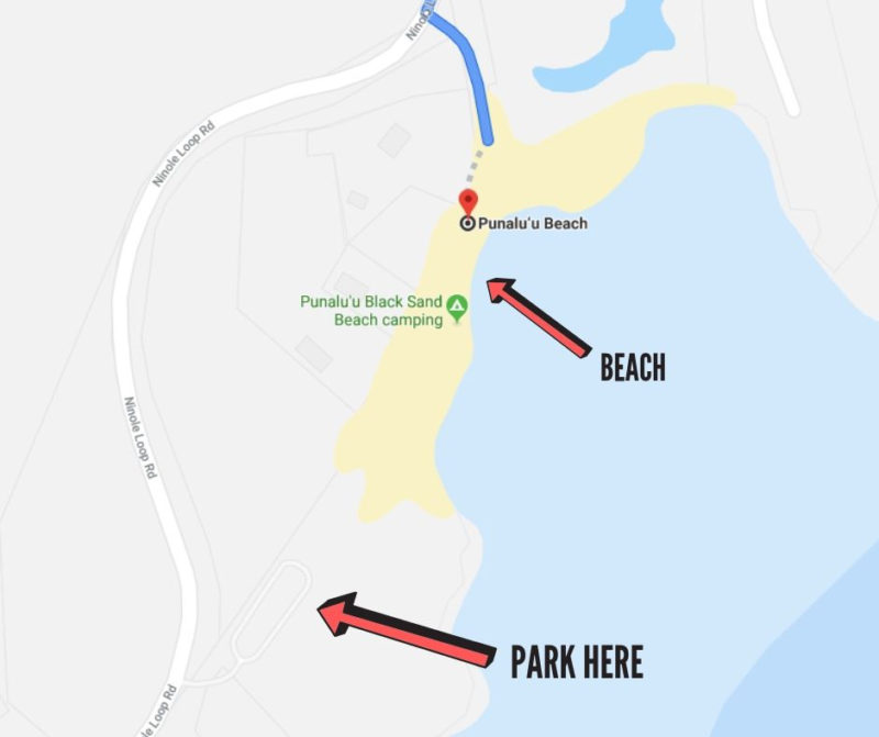 How To Visit The Punaluu Black Sand Beach On The Big Island