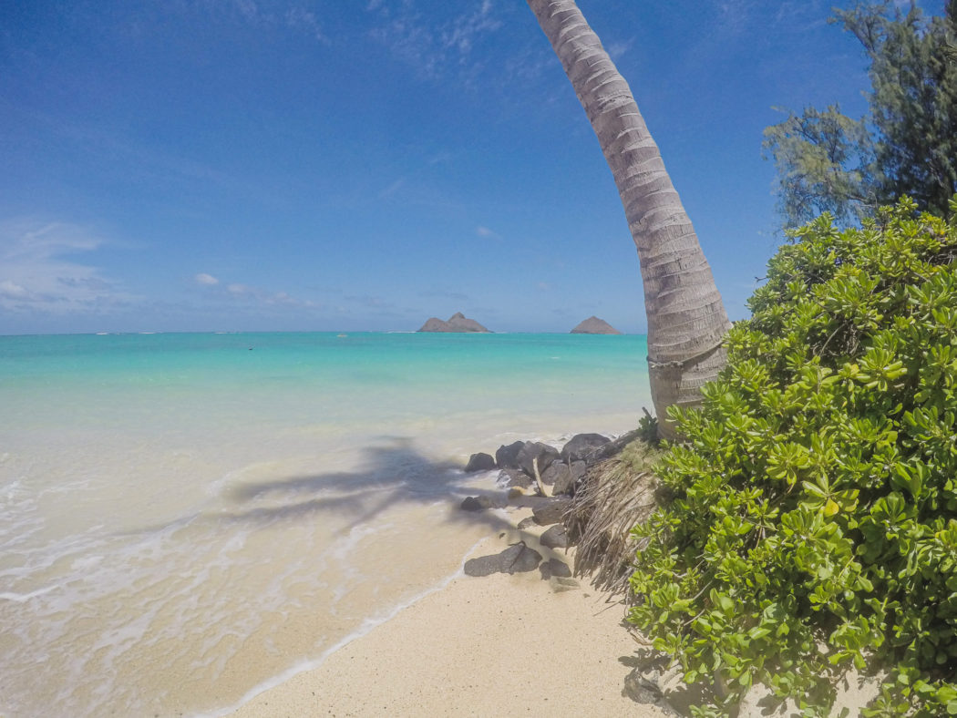Best Beaches On Oahu - Here's The 10 Beaches You Don't Want To Miss