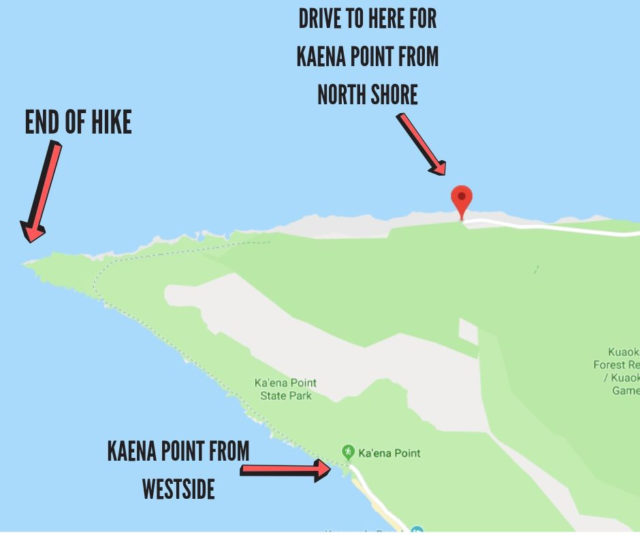 How To Hike The Kaena Point Trail From The North Shore End