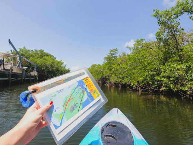 How To Go Mangrove Kayaking In Islamorada + Spend A Day At Robbie's